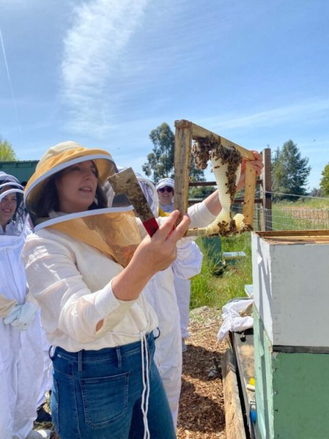 Regenerative Beekeeping Certification